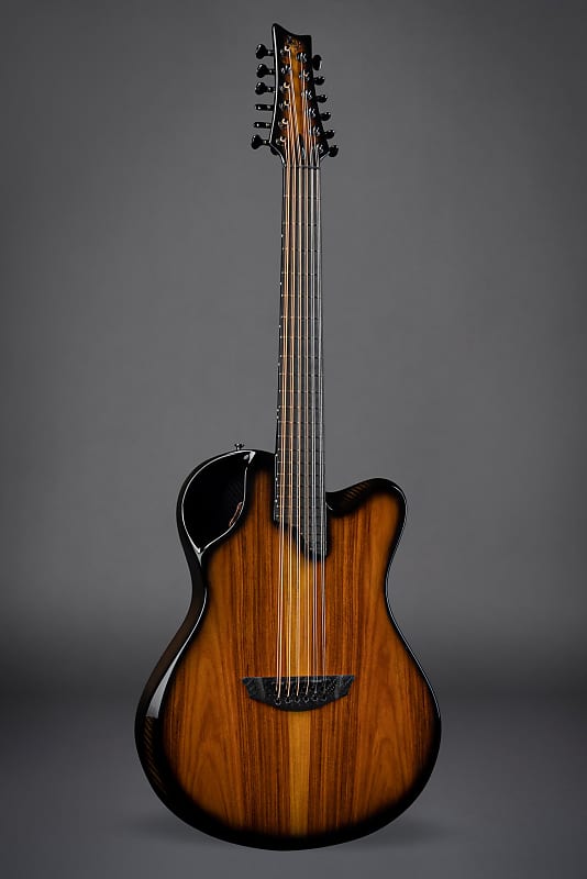 X20-12 String | Carbon Fiber 12-string acoustic guitar, | Reverb