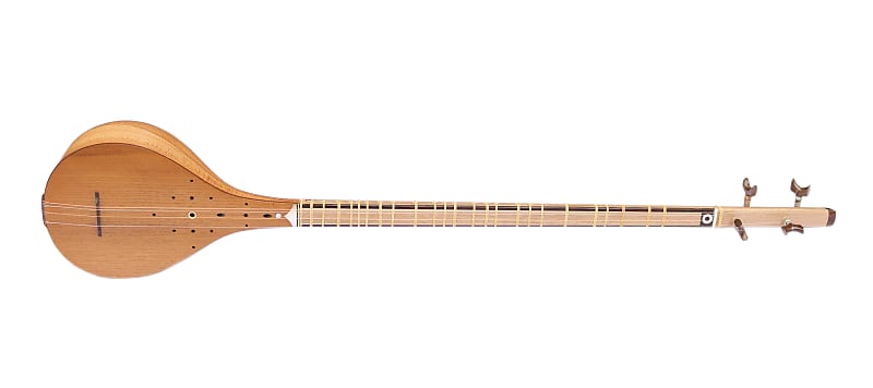 Special Professional Persian Setar String Musical Instrument | Reverb