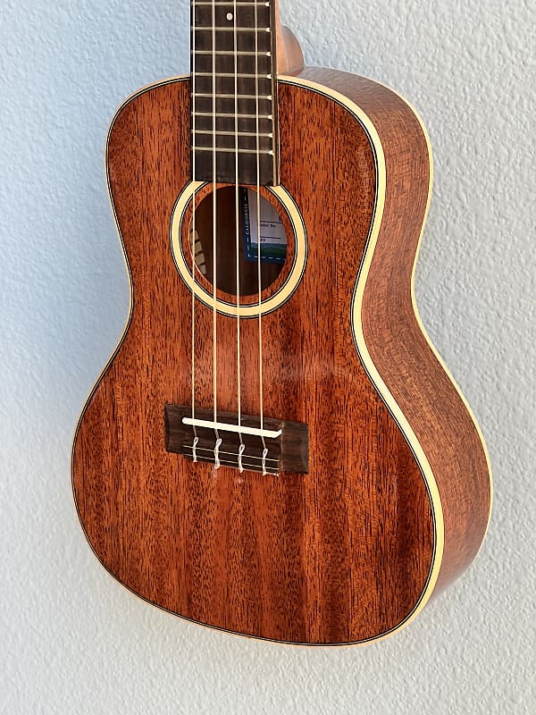 Kala Solid Mahogany Concert Ukulele - Gloss | Reverb