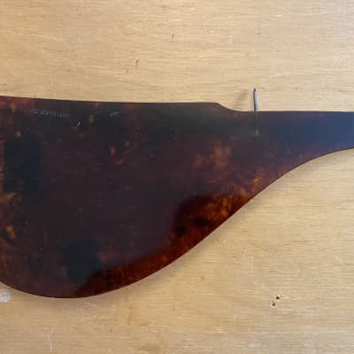 Gibson mandolin pickguard, 1930s tortoise shell | Reverb