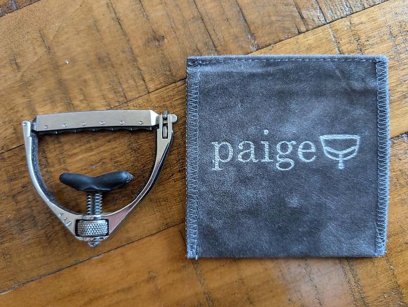 Paige PaigePro PP-6-ETI 2024 - Stainless Steel | Reverb