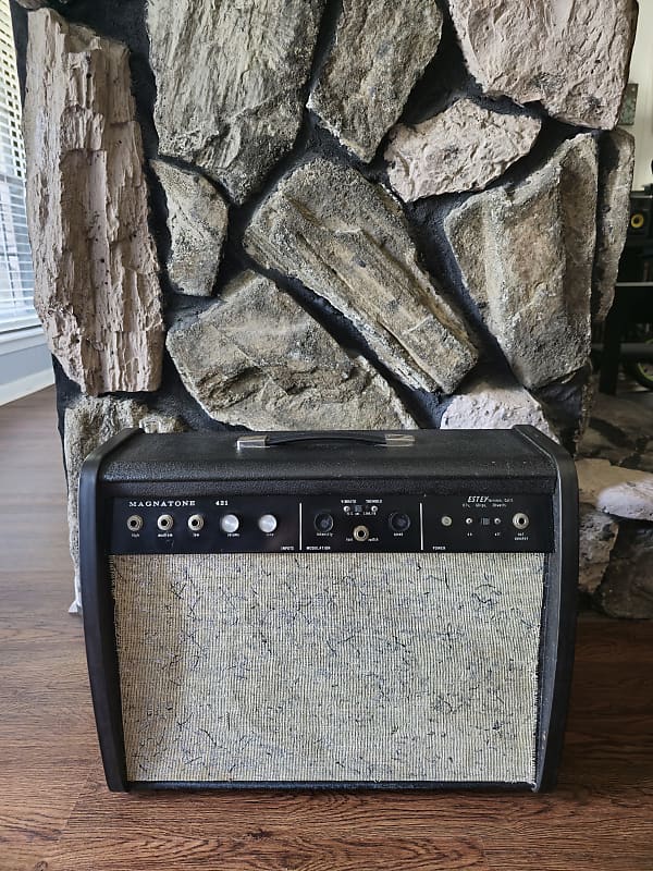 1964 Magnatone Starlite 421 Fully Serviced KILLER TONE | Reverb