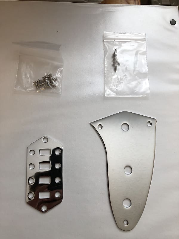 Squier Vintage Modified Bass VI Control Plates | Reverb