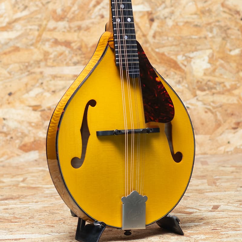 Quint QT-A5 YN | Reverb