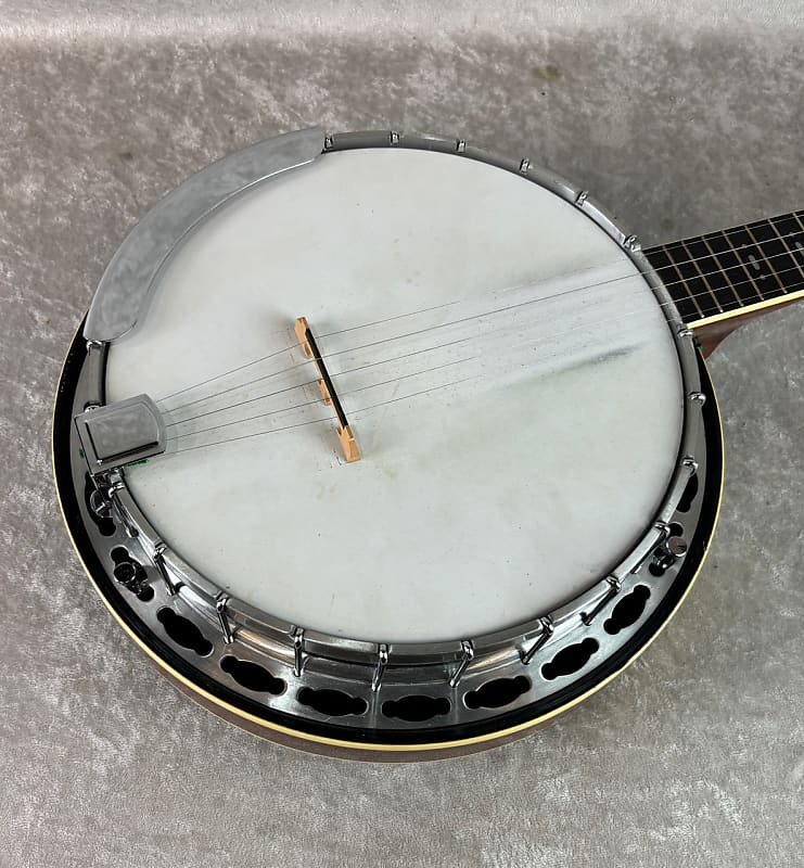 1970's Alvarez Banjo with case | Reverb