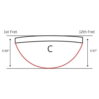 NEW Allparts Fender Licensed Telecaster® "C" Profile Neck 21 | Reverb