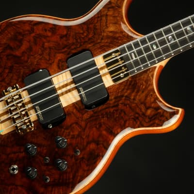 Alembic Stanley Clarke Deluxe - Walnut | Reverb