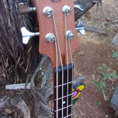 Birdsong Sport bass SUPER SHORT SCALE / "Pocket" bass | Reverb