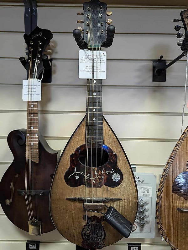 F.Cassaro & G.Rompoli Italian Mandolin 1900s | Reverb