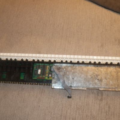 Ensoniq SQ-80 fatar keybed / keyboard assembly with kpc sq80 | Reverb