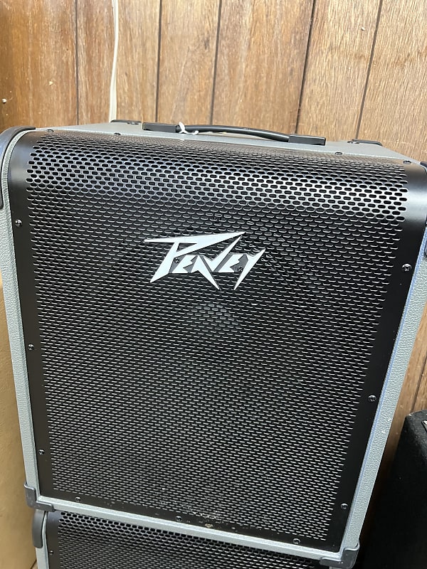 Peavey MAX 115 bass combo amplifier | Reverb