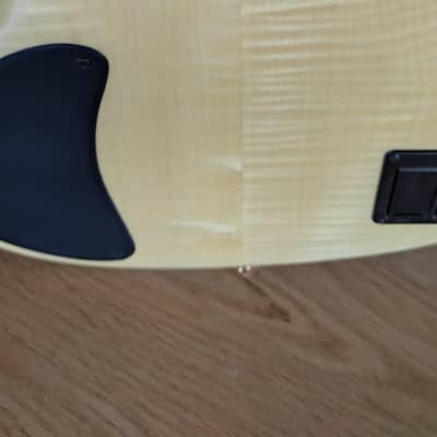 Ritter Roya 2006 - Buck Eye | Reverb