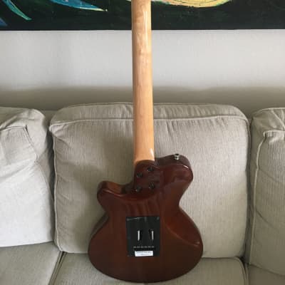 Godin SDxt 2013 Lacewood Hazel | Reverb