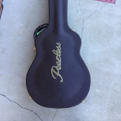 Peerless Renaissance Custom Hollowbody with Hard Case | Reverb