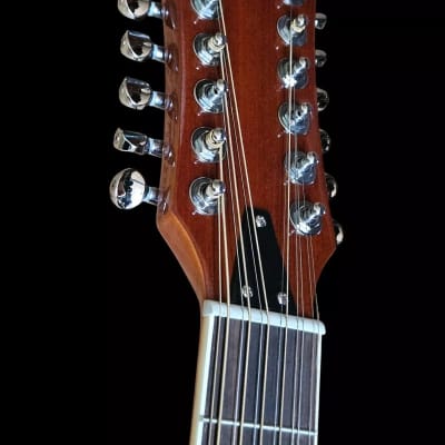 MAPLE FLAMED 12 STRING ACOUSTIC DOBRO RESONATOR GUITAR | Reverb