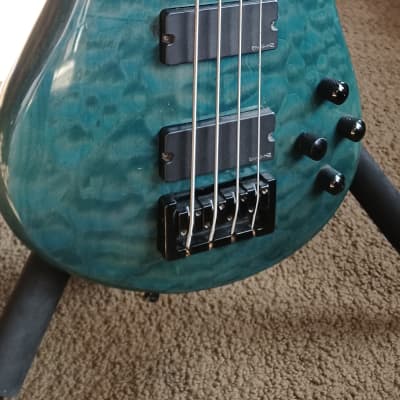 Spector NS-2000/4 | Reverb