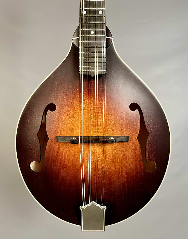 Pava A-5 Satin Wide Nut - Sunburst | Reverb