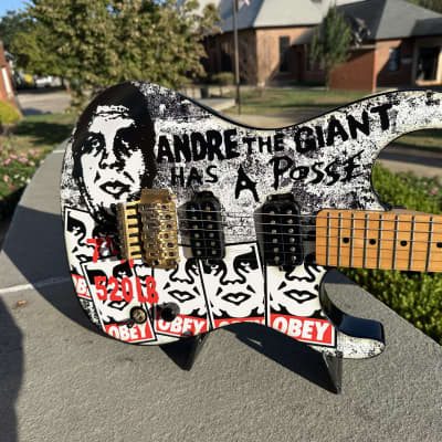 Washburn Steve Steven’s SS 40 1993 Shepard Fairey | Reverb Canada