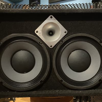 SWR Goliath II Jr 2x10” bass cabinet | Reverb