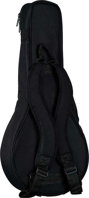 Mandolin Pro Deluxe Gig Bag - Extra Thick Padding - Black | Reverb