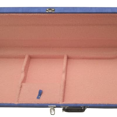 Fishbone BLUE DENIM Guitar CASE fits Strat / Telecaster style | Reverb