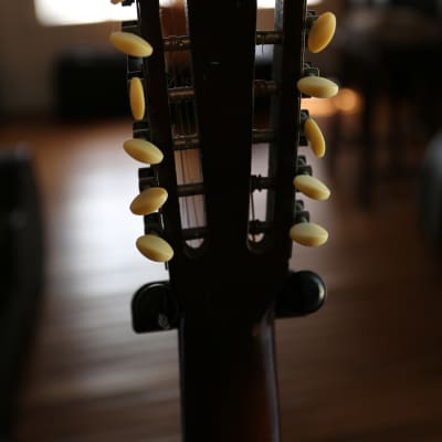 Stella Harmony H912 1965-67 (Kurt Cobain Model) | Reverb