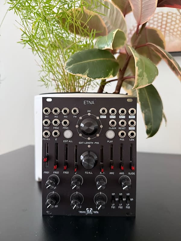 Patching Panda Etna Eurorack Morphing Analog Filter Module | Reverb