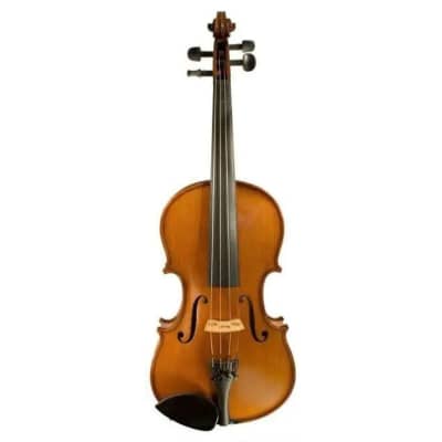 Open Box Model 55 Step-up European Violin outfit (Full Size) | Reverb