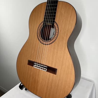 Raimundo 146 Cedar/Indian Rosewood | Reverb