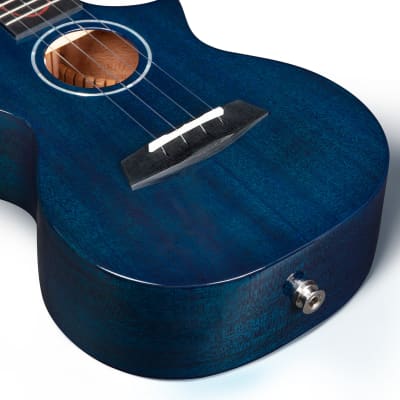Enya M6 Blue Solid Mahogany Concert Acoustic-Electric Ukulele | Reverb