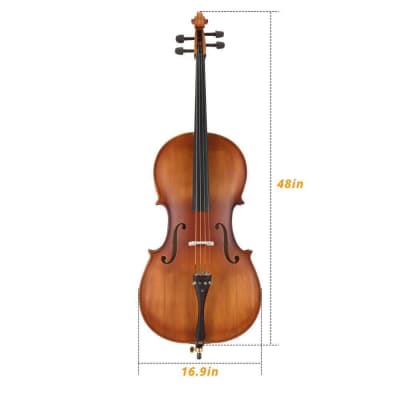 Full Side 4/4 Matte Natural Color Spruce Panel Acoustic Cello | Reverb