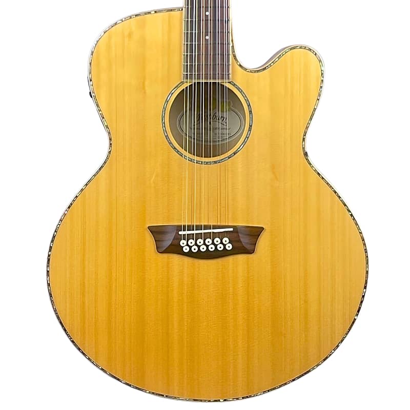 Washburn WJ455ce12 12-String Natural Acoustic Guitar w/HSC | Reverb