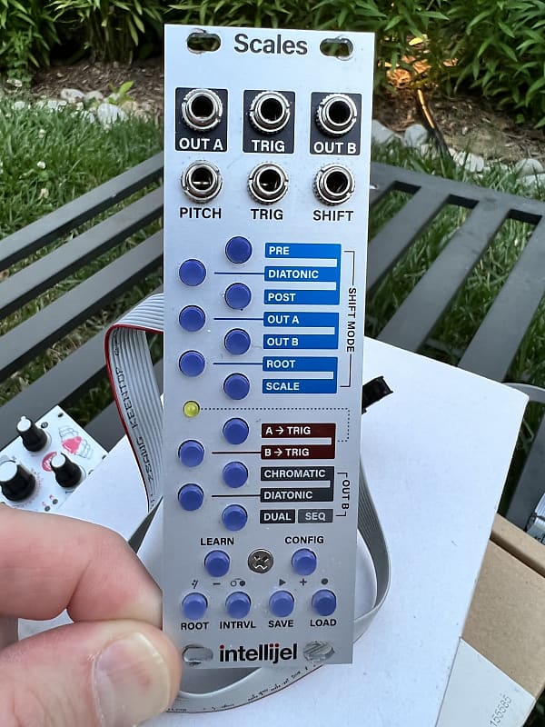 Intellijel Scales | Reverb