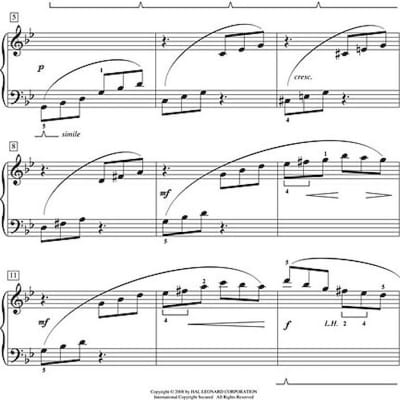 Escape into the Night | Reverb