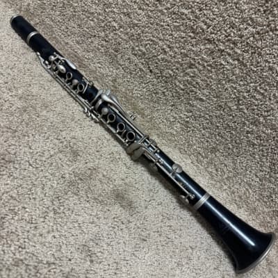 Borg Clarinet AND Flute as a set, with cases | Reverb