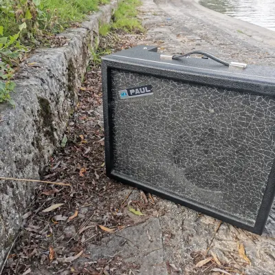 Pine Electronics PAUL amplifier [vintage 1960's, | Reverb France