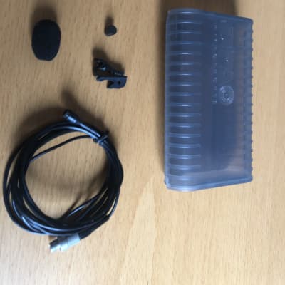 DPA 4060 2021 | Reverb