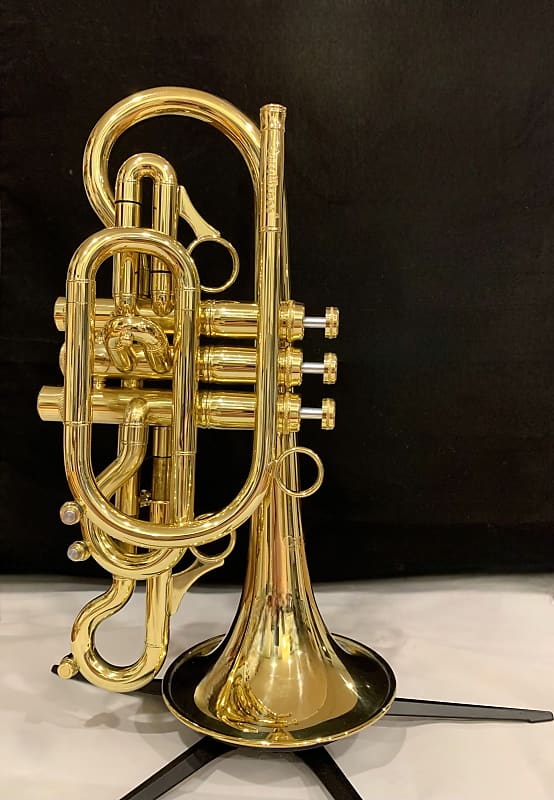 CarolBrass CCR-7772R-YSS(D)-Bb-L Cornet Demo Stock | Reverb