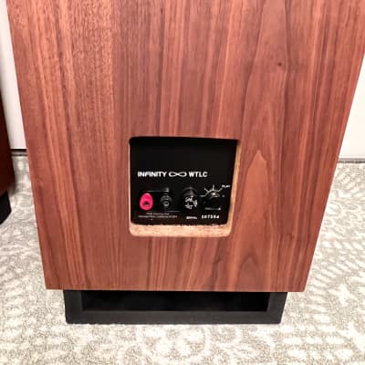++ RARE ++ Infinity WTLC Speakers (pair) | Reverb