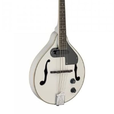 SAMICK SM20E Electric/Acoustic Mandolin Early 90's | Reverb