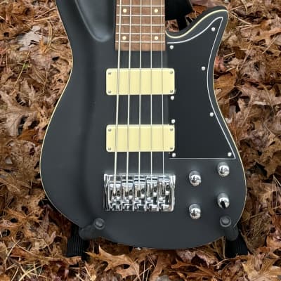Waterstone Sam Hill 2-string bass 2022 Matte Black | Reverb