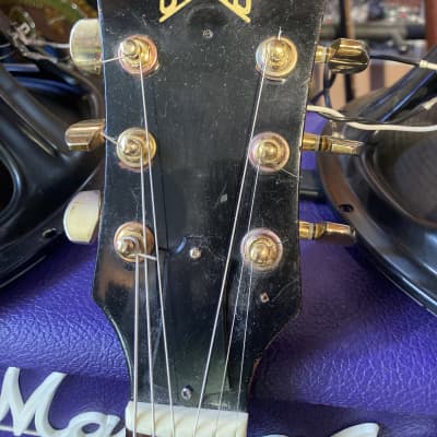 Guild D25 Dreadnought Acoustic 1980 - Cherry | Reverb