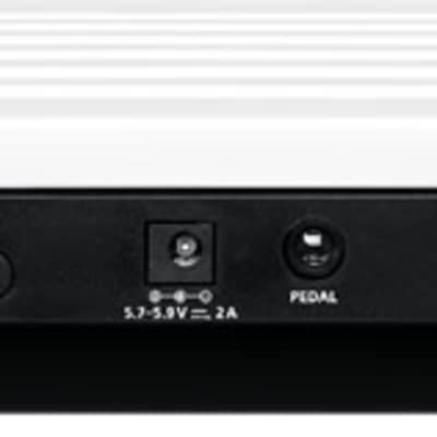 Roland GO:PIANO WITH ALEXA BUILT IN 2020 White | Reverb