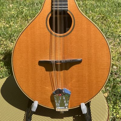 Richard Beard Celtic Mandolin #28 - Laquer | Reverb