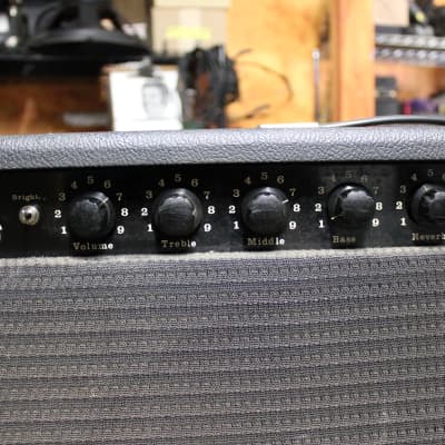 Sho-Bud "Custom"Pedal Steel Amp 1x15 EV with Reverb | Reverb