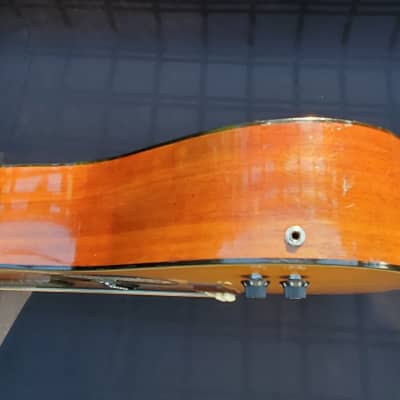 Vintage 1979 Hohner HG12 12 String Acoustic Guitar w/ | Reverb