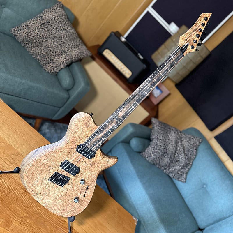 2021 Kiesel SCB Multiscale MINT | Reverb