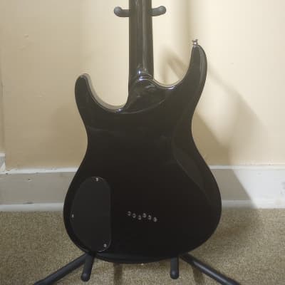 Washburn RX-50 FVSB - Flame Vintage Sunburst | Reverb