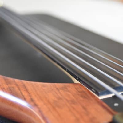 Alembic Orion 5 string fretless bass guitar Walnut Top - | Reverb