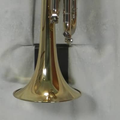 JZ Music TCNM Intermediate Bb Trumpet Gold Lacquer with hard | Reverb